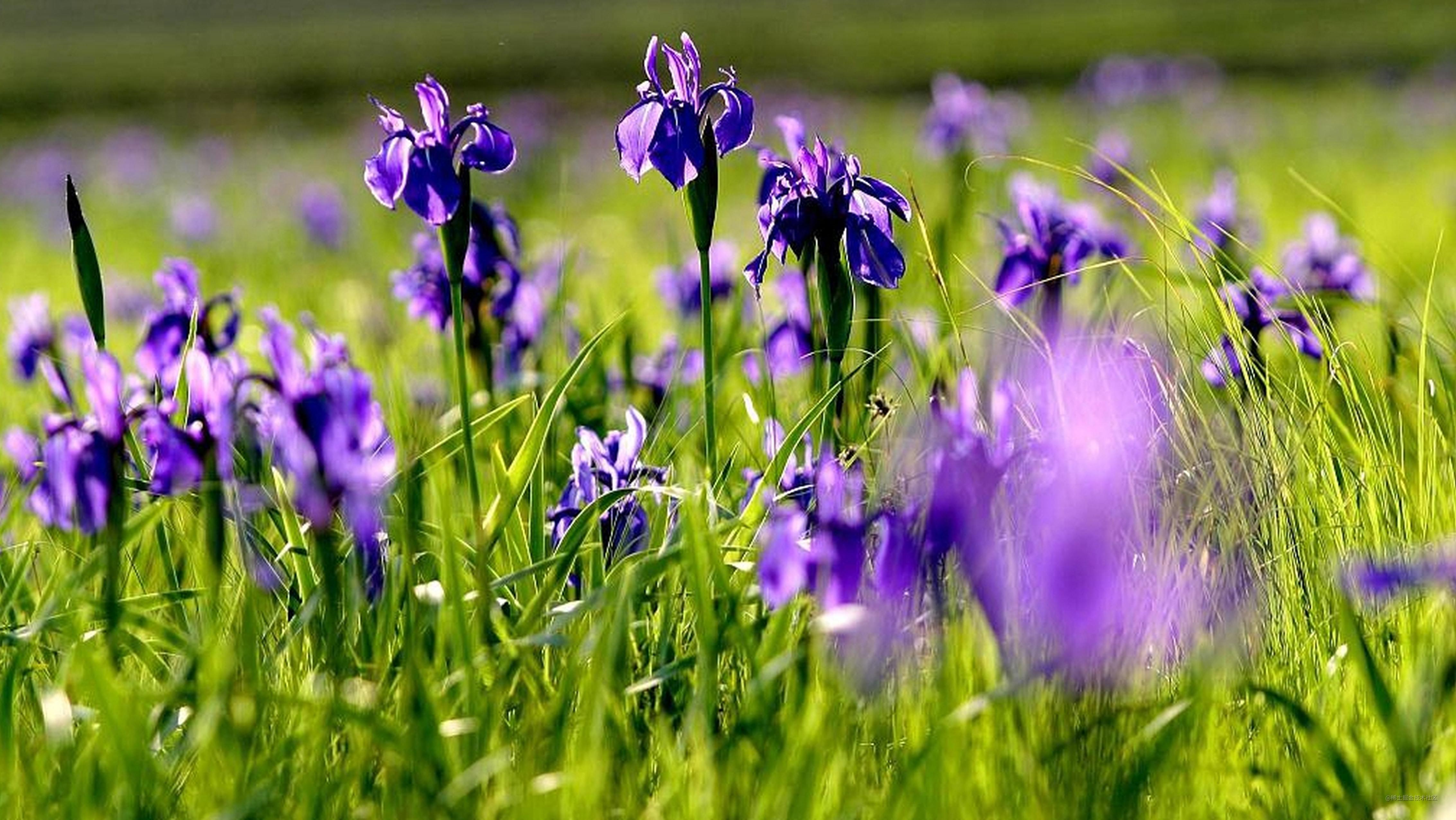 致敬邓稼先 - 掘金