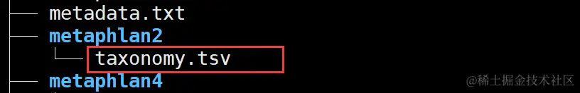 易宏基因组分析流程--记录一、数据预处理 1、准备工作 1.1 查看工作目录 1.2 检查元数据文件格式 1.3 元数据 - 掘金