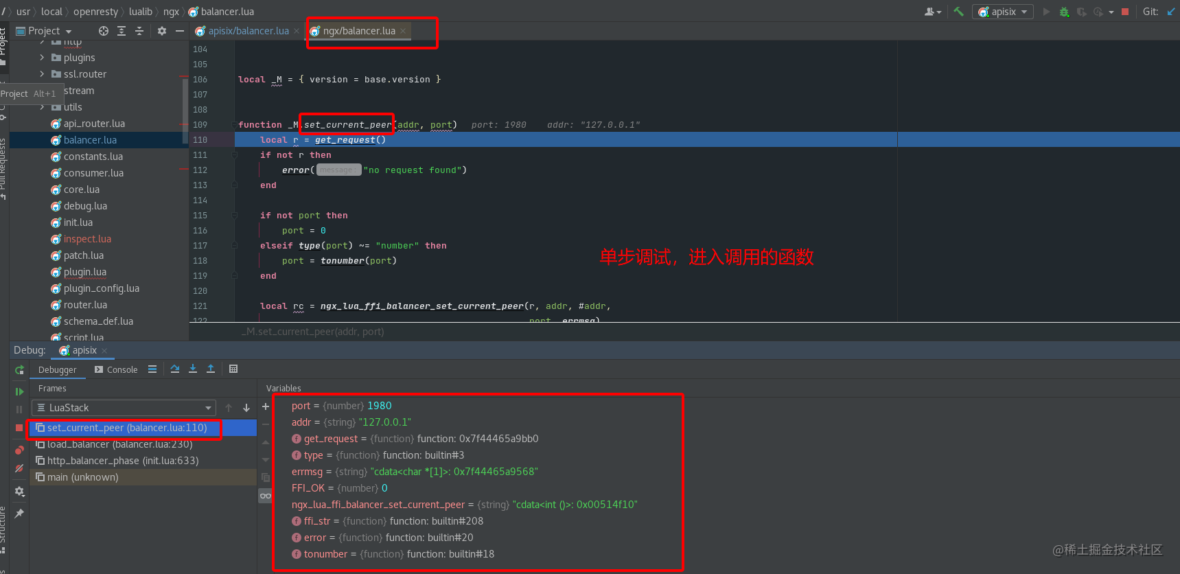 APISIX Runtime Debug/动态调试