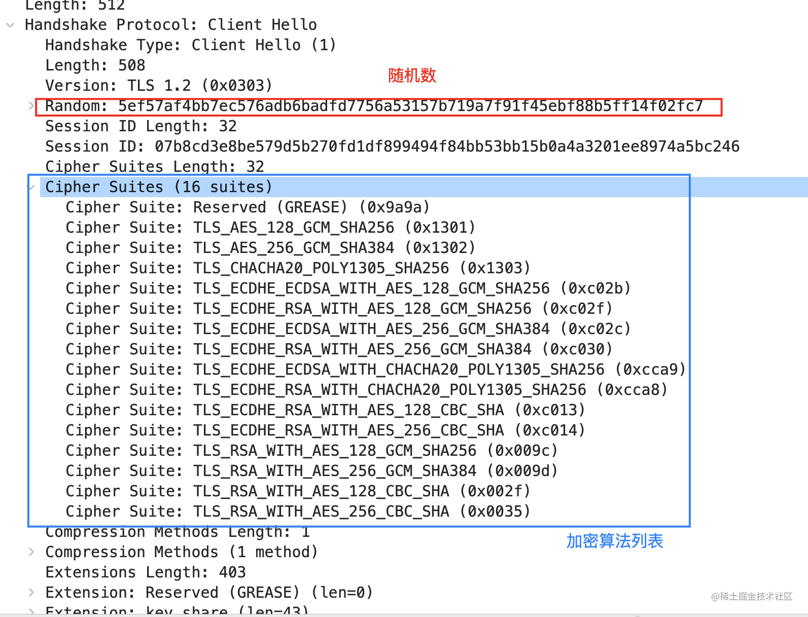 【计算机网络】TCP / TLS 握手原理及实践 - 掘金