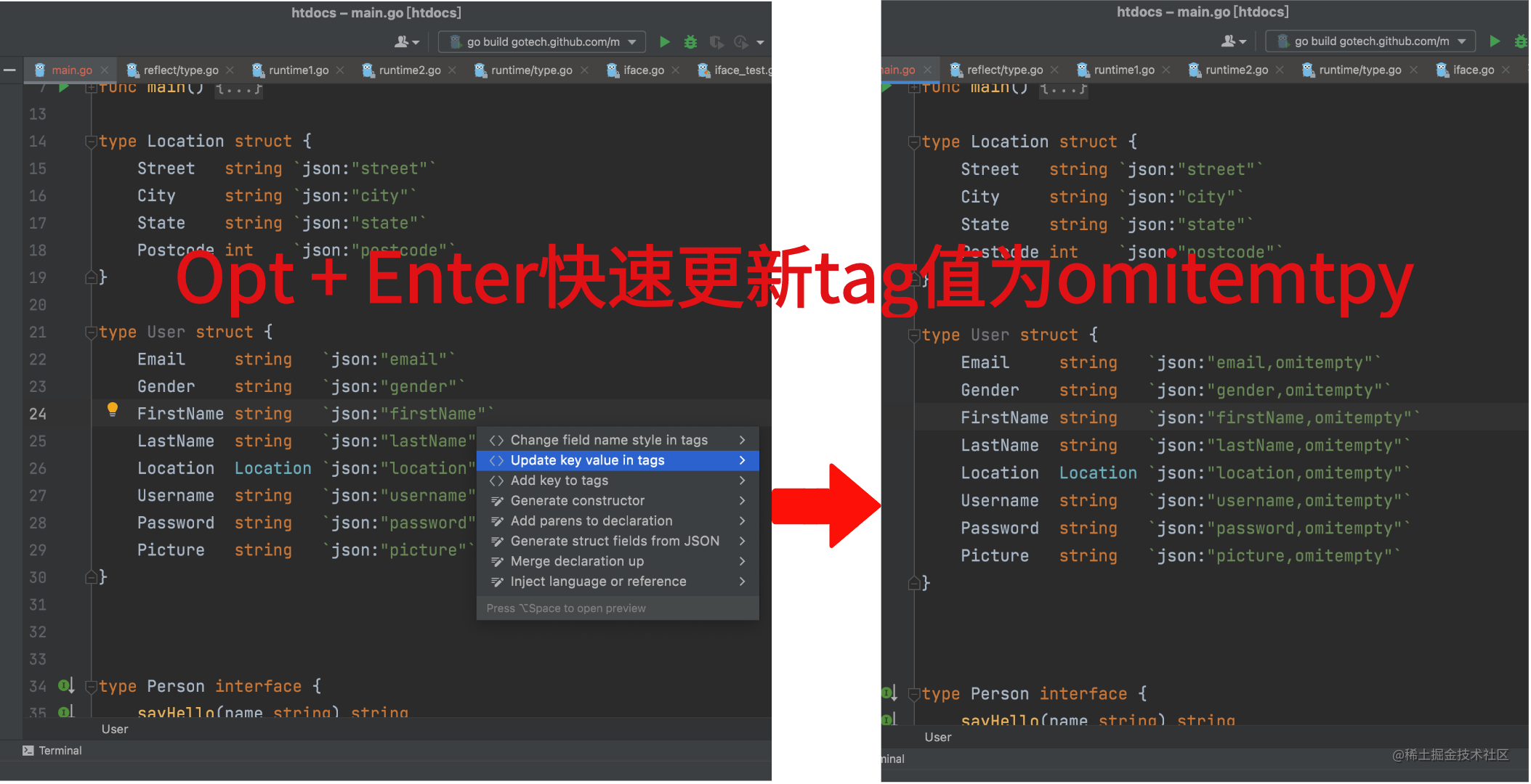 goland-01-json