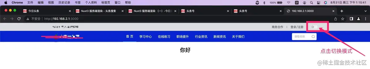 5、Nuxt3 elementplus引入及多皮肤主题模式切换—黑暗模式、layouts、elementplus城市选择组件 - 掘金