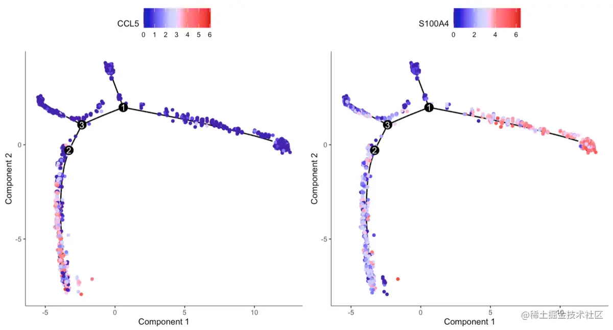 SC| monocle2 # 拟时序分析就是差异分析的细节剖析 # 单细胞之轨迹分析-2：monocle2 原理解读+实 - 掘金