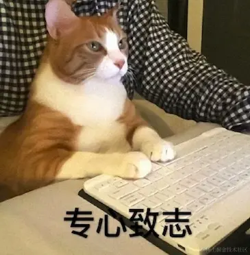 为什么使用httpClient发送x-www-form-urlencoded类型的请求时，必须要使用MultiValueMap来传参？ - 掘金