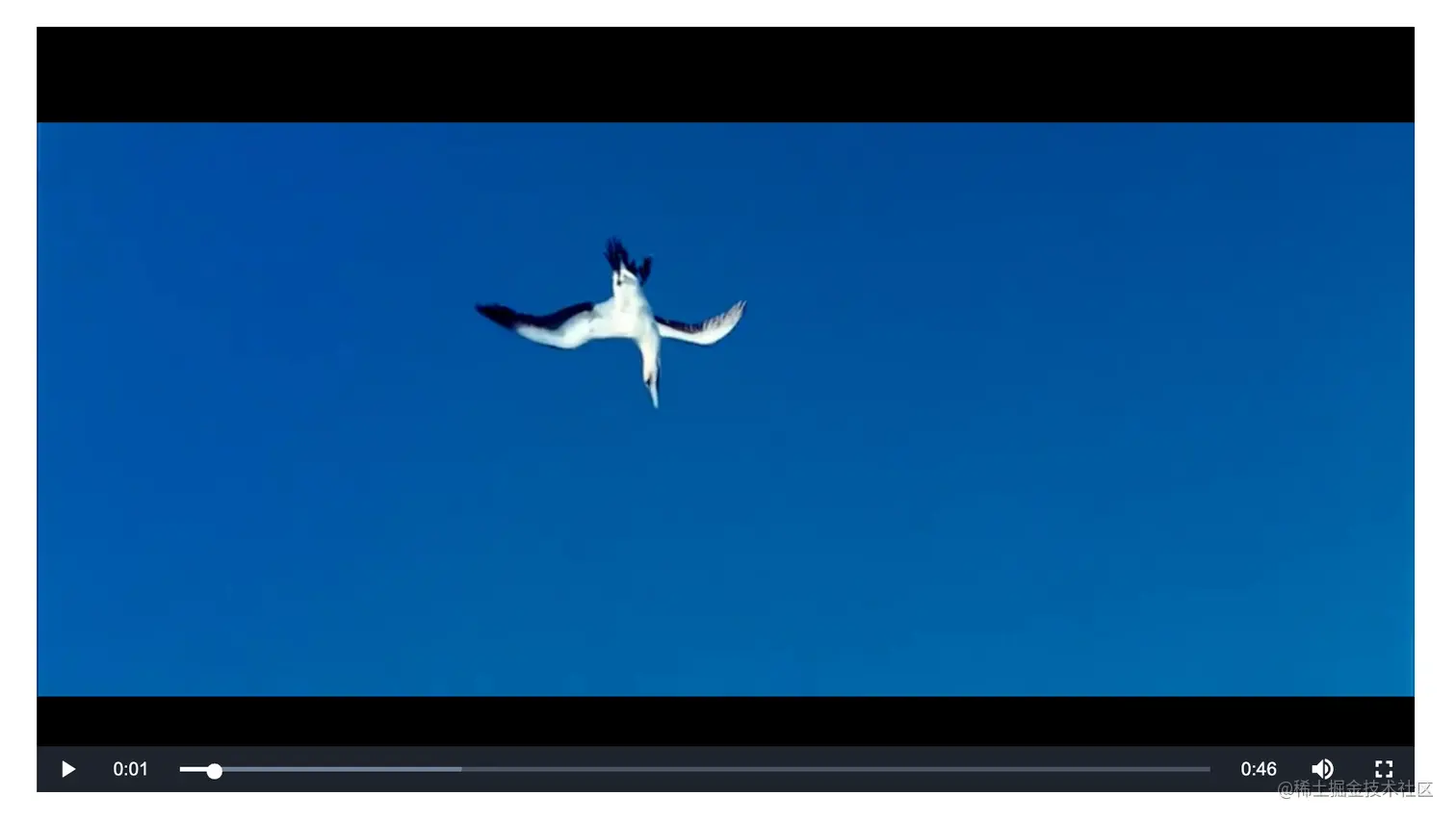 video.js -HTML5 视频播放器最近项目中，需要搭建一个视频播放的页面；所以就去github上搜了一下，有没有 - 掘金