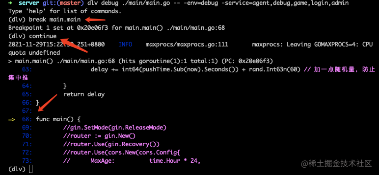 Go Lang Remote debugging with Goland - Moment For Technology